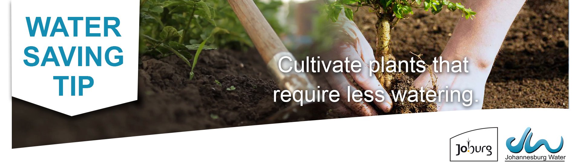 Cultivate plants that require less watering | Johannesburg Water